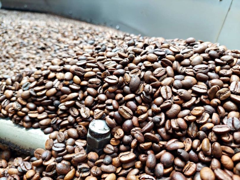 Araure es la cuna del café Flor de Arauca - Portuguesa Reporta